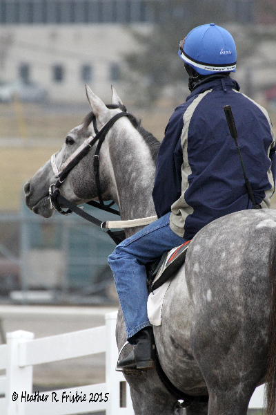 Spiral Weekend at Turfway | Midwest Paddock Report
